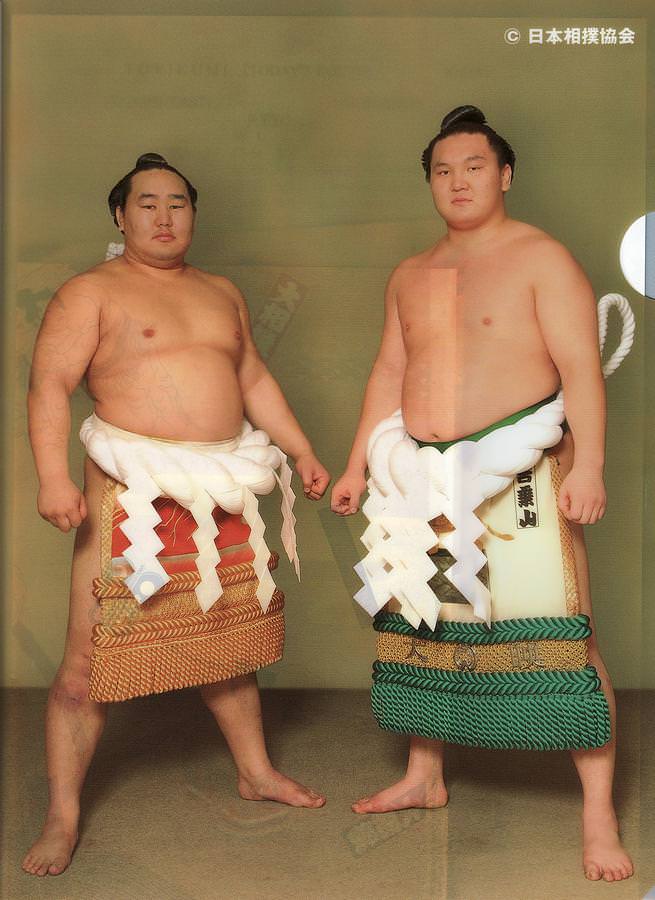 Sumo