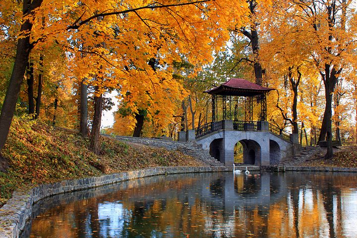 Quando andare in Giappone: il clima.