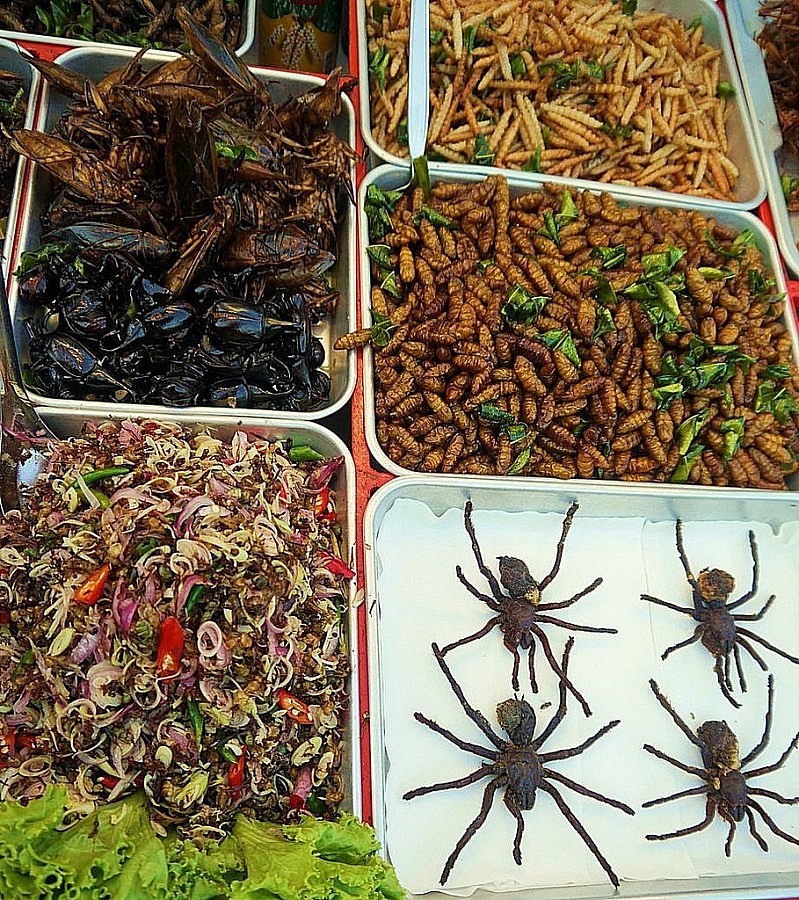 Mangiare insetti a Bangkok